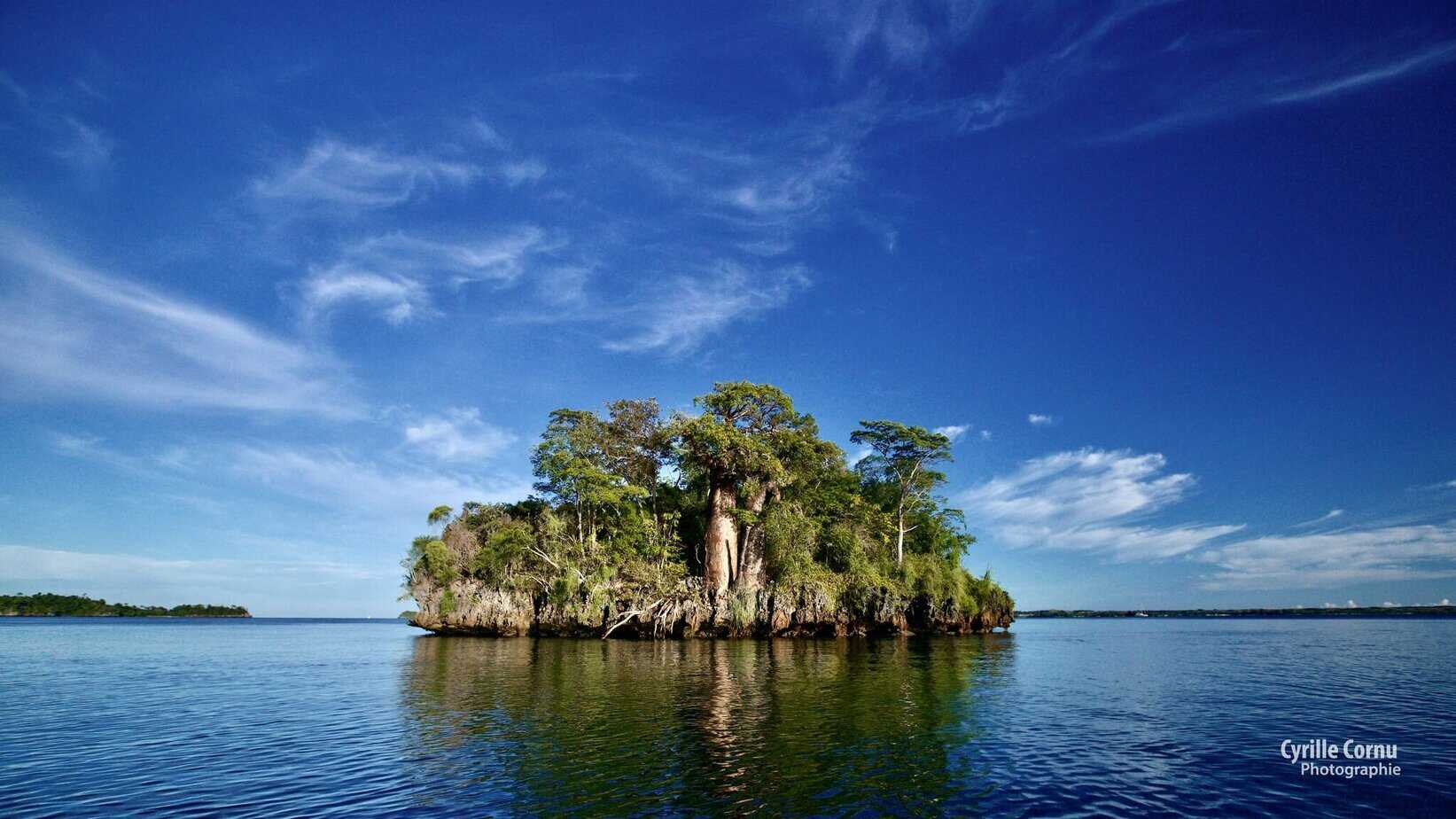 Découvre tous les bienfaits du baobab de Madagascar